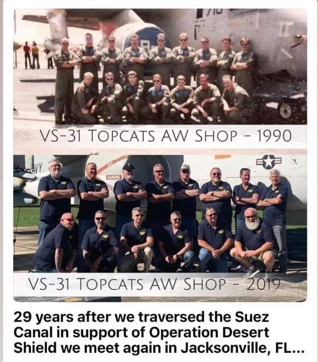 VS-31 Topcats - Viking SENSOs